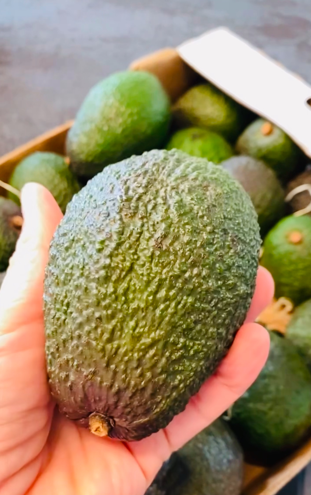 Hummus mit Avocados - gesund und gut