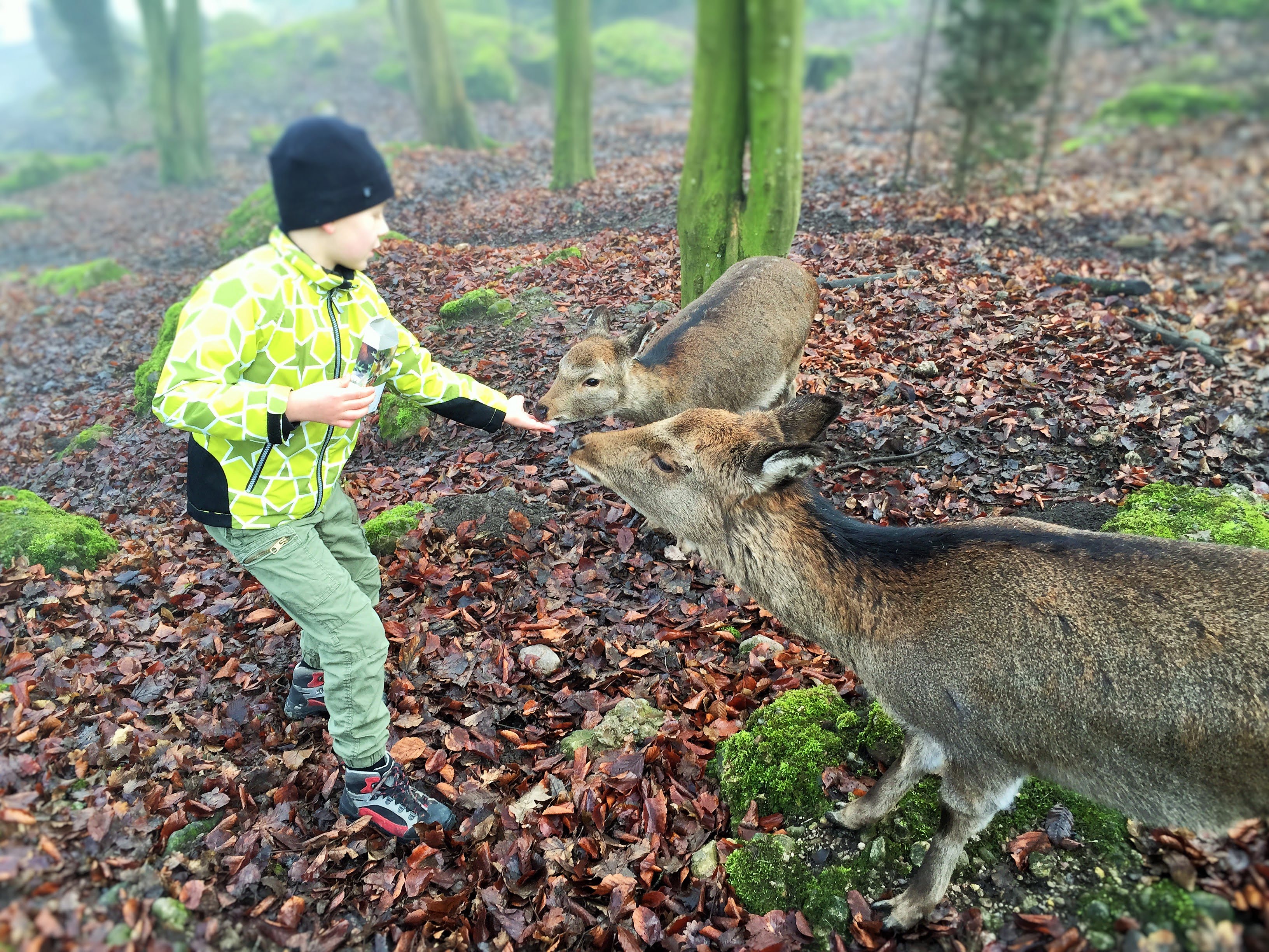 Tierpark Goldau: Eintauchen in eine fabelhafte Natur- und Tierwelt ...
